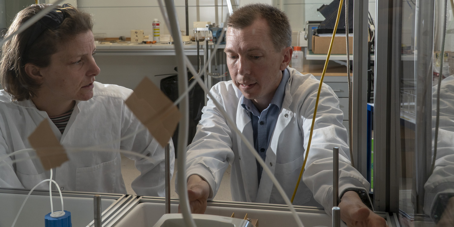 New professors at DTU Energy